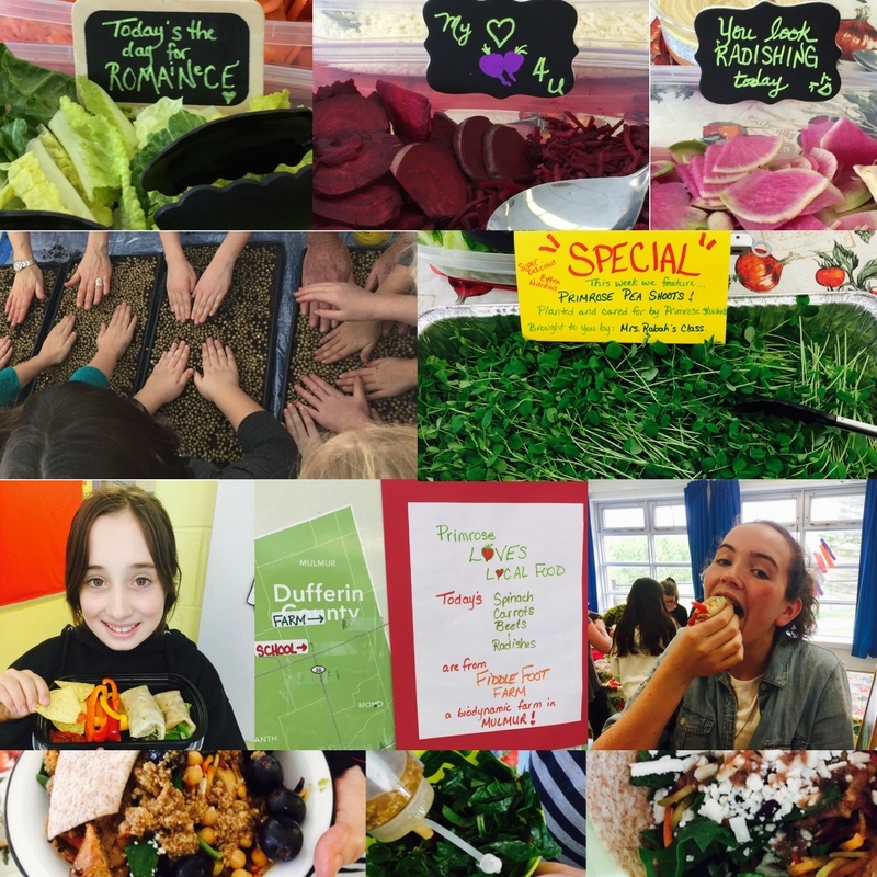 Primrose Elementary School & Local Food … A Love Story - Farm to ...